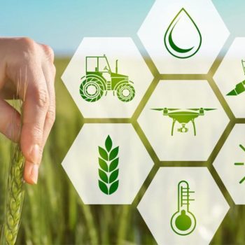 Home - Surana Polycots